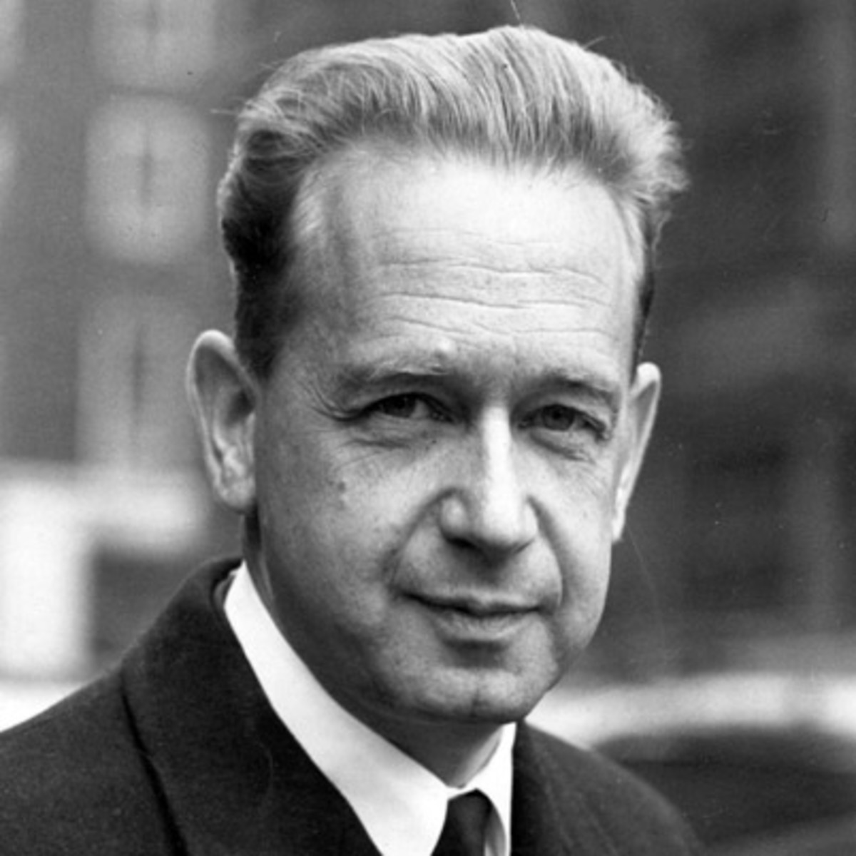 Dag Hammarskjöld, de langste reis – Dick Wursten